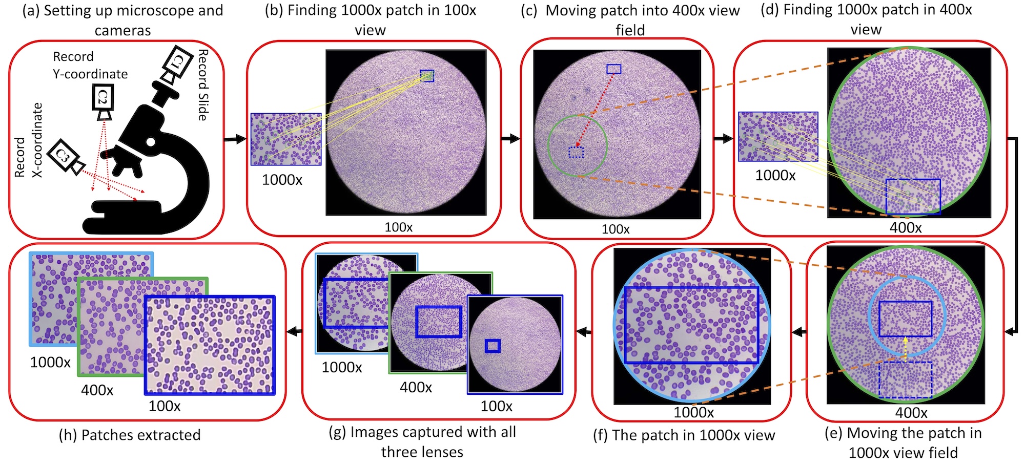 Muhammad Sohail Danish · Geospatial AI Research